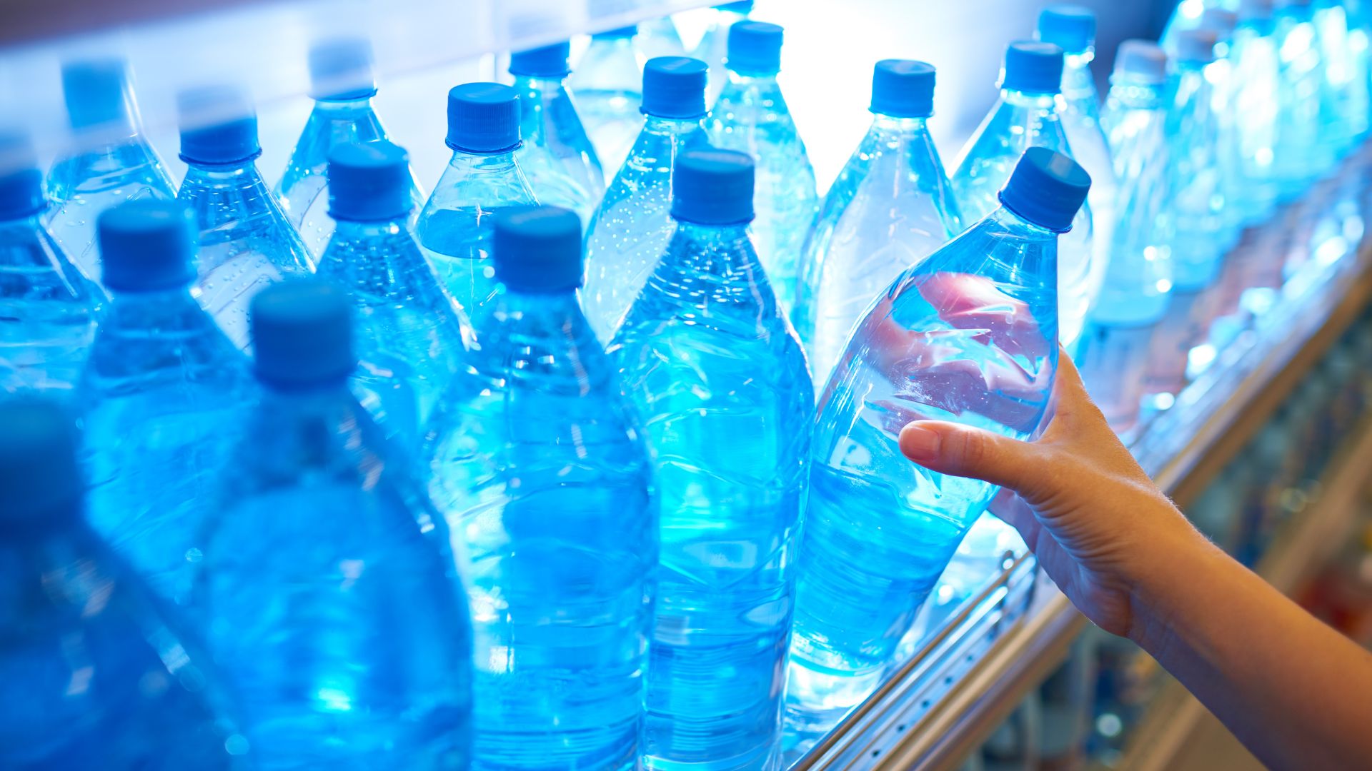 Why Hydration is Important + Seven Tips for Staying Hydrated - The ...